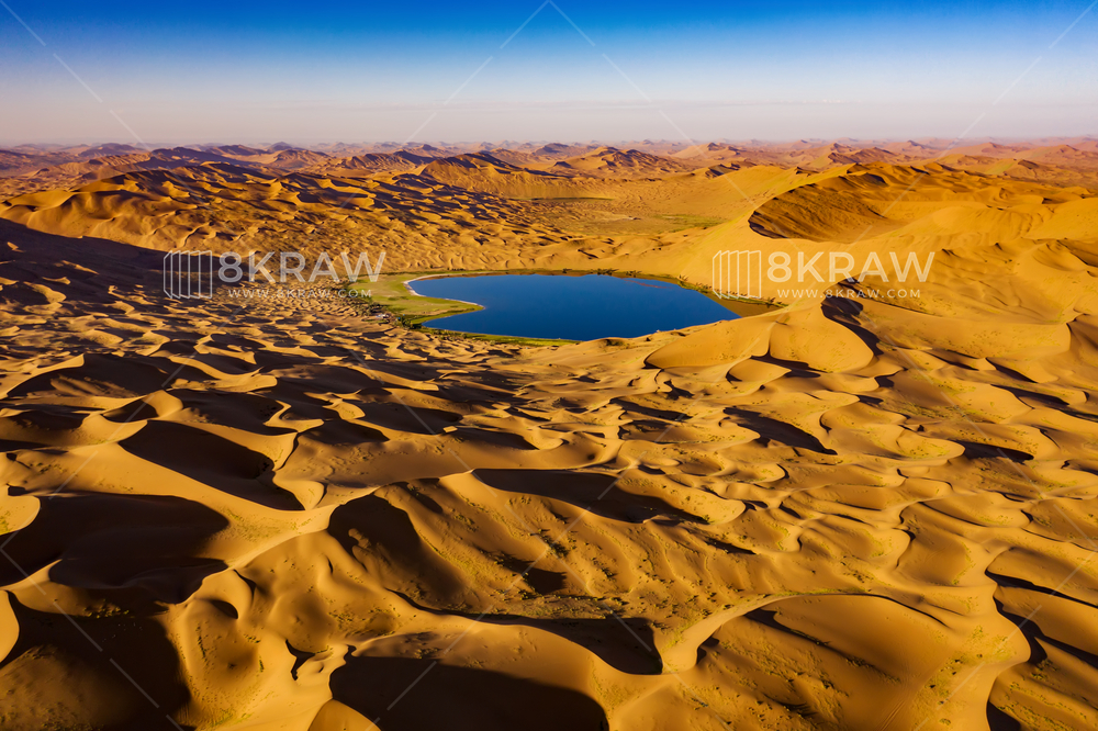 8KRAW官方网站 - 正版视频图片素材库